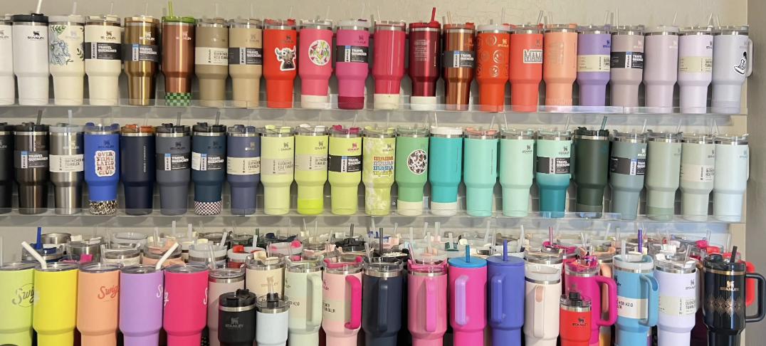 Popular Sustainability: The Overconsumption of “Sustainable” Items ...